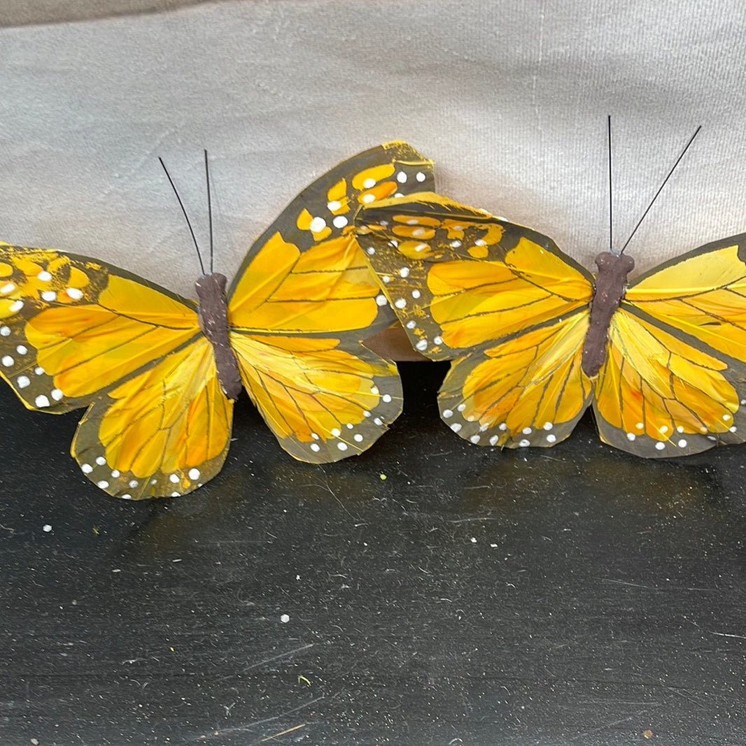 Jam Designs and Supplies